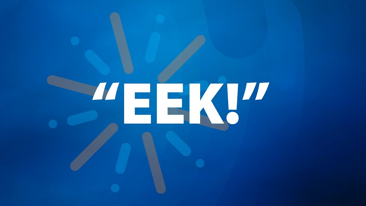 "EEK" Retirement Income - YouTube