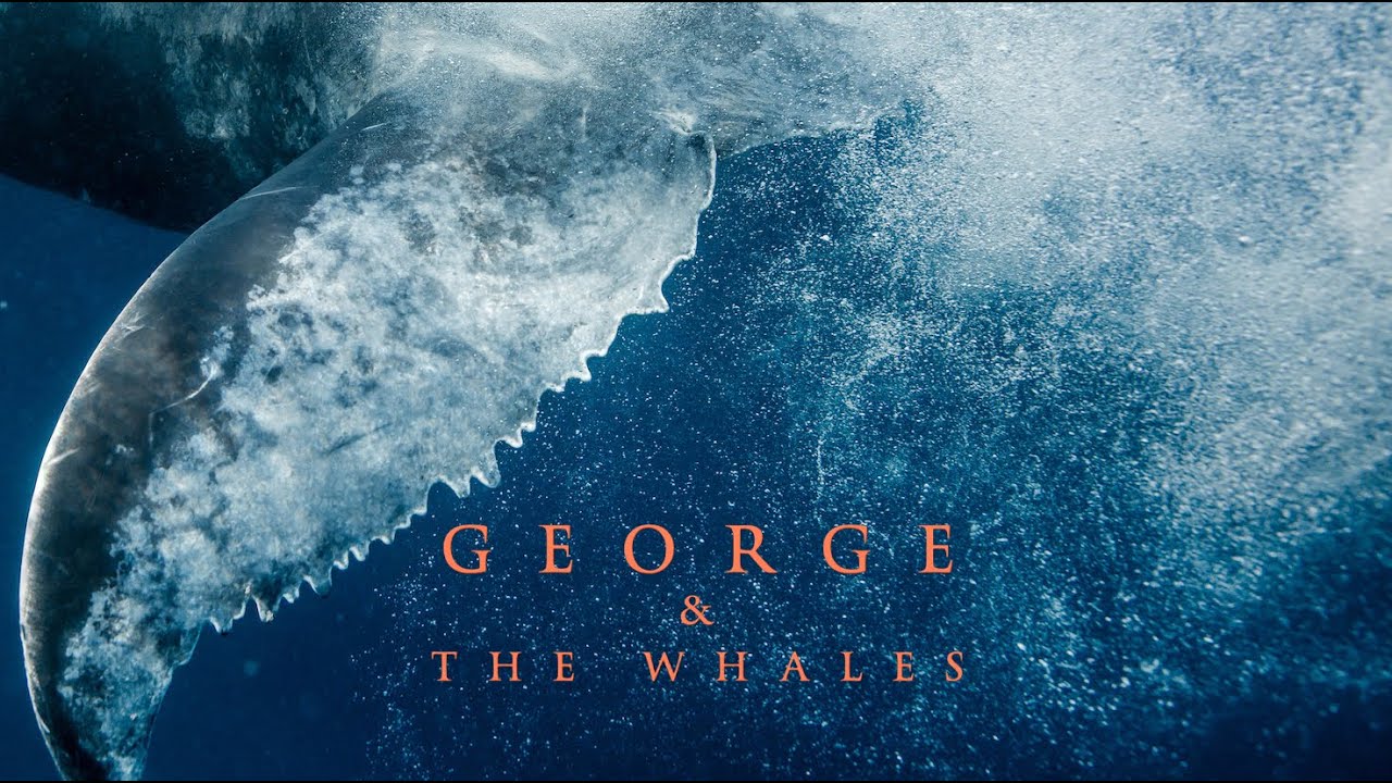 George & The Whales - YouTube