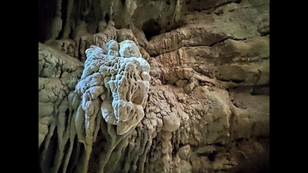 Limestone Caves of Baratang, Andaman islands - - YouTube