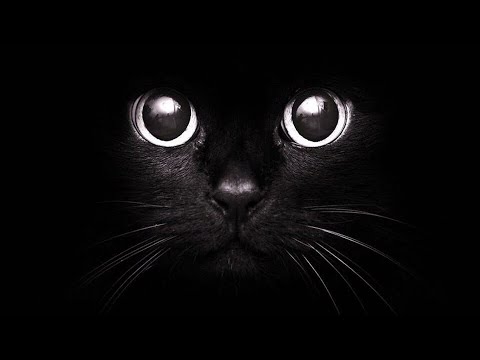 Ekran resimleri yapabileceğiniz Fotoğraflar #vol. 3 - YouTube