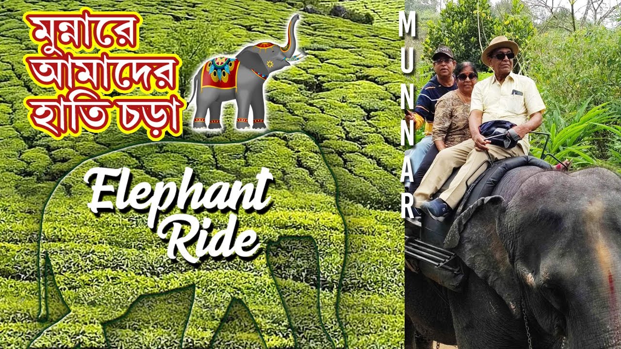 ELEPHANT RIDE IN MUNNAR I KERALA TOUR 2022 I হাতি চড়া - YouTube
