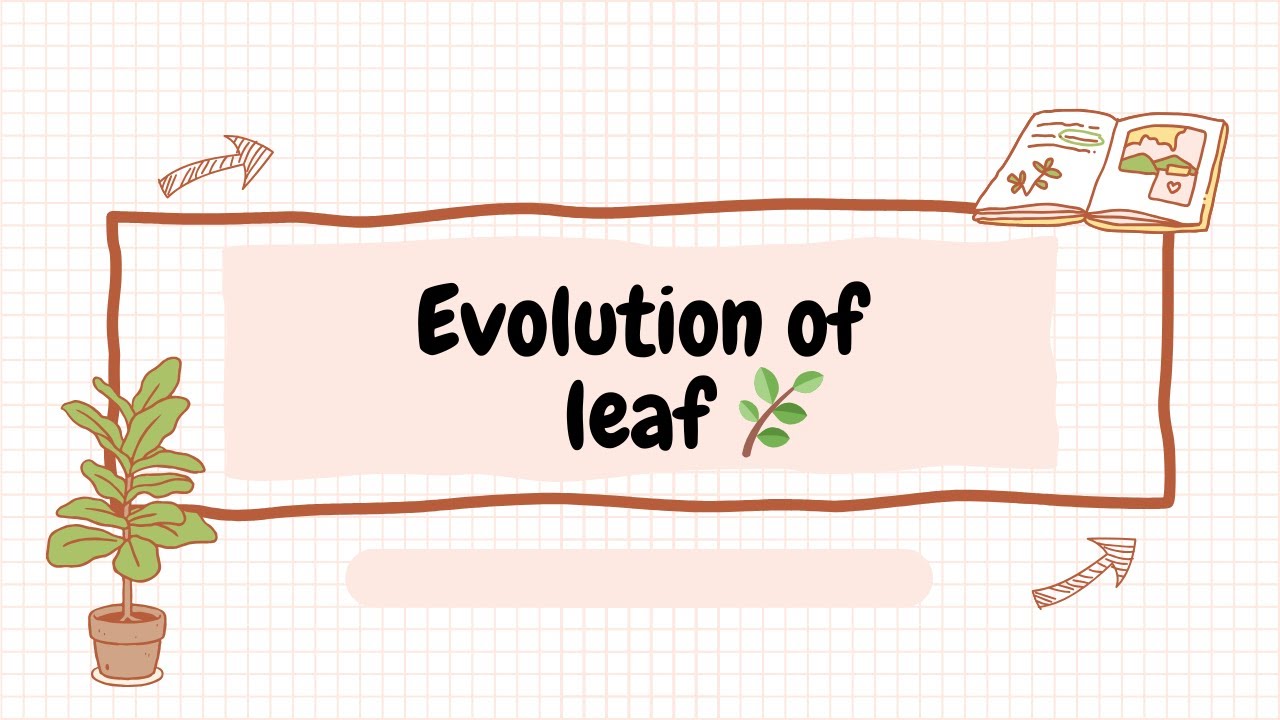 Evolution of leaf l XI biology l Diversity among plants - YouTube