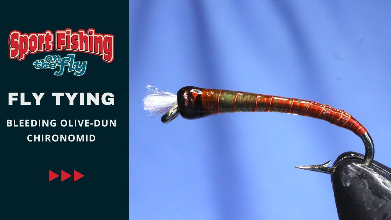 FLY TYING TROUT FLIES: DEB'S BLEEDING OLIVE-DUN CHIRONOMID - YouTube