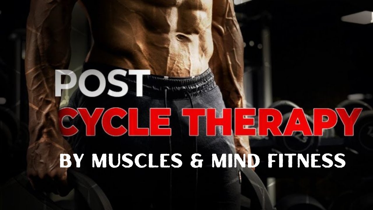 How to PCT- The Post Cycle Therapy...!! Complete Guide about PCT - YouTube