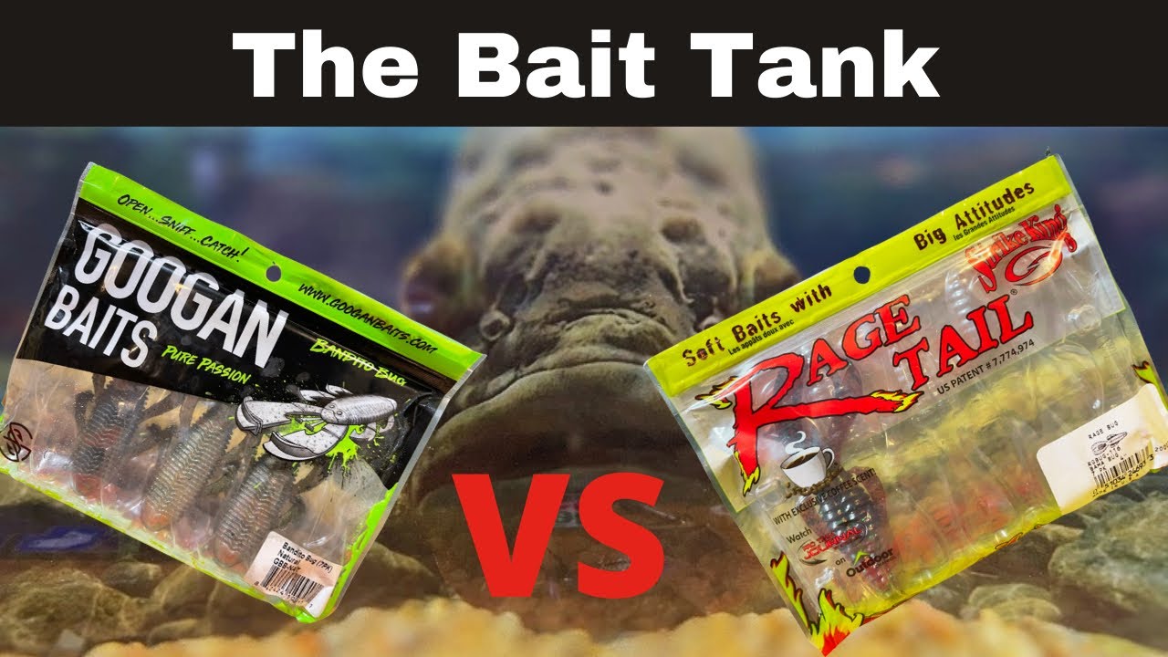 Googan Bandito Bug VS Strike King Rage Bug - THE BAIT TANK! - YouTube
