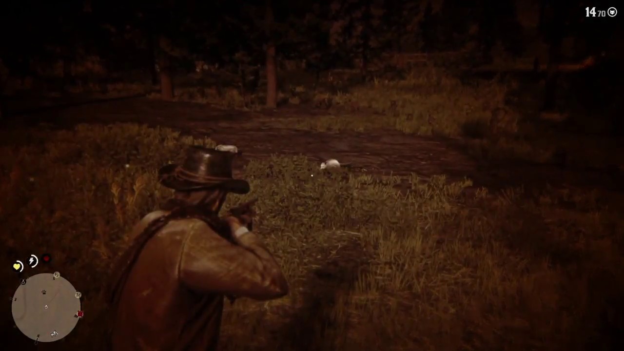 Opossum Playing Possum Red Dead Redemption 2 - YouTube