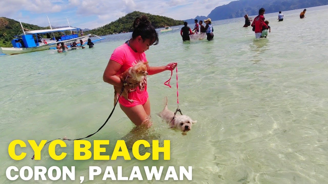 CYC Beach | Family Reunion | Coron, Palawan - Philippines - YouTube