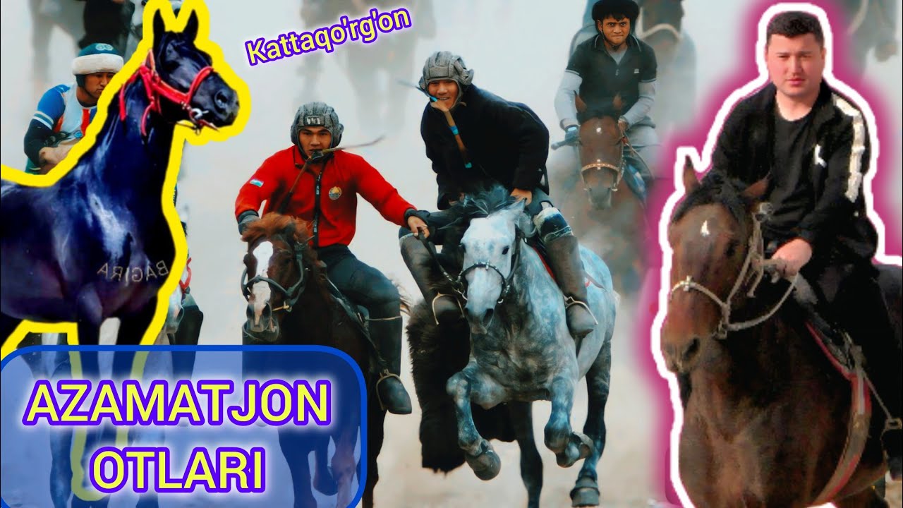 𝘼𝙕𝘼𝙈𝘼𝙏𝙅𝙊𝙉 𝙖𝙠𝙖𝙢𝙞𝙯𝙣𝙞𝙣𝙜 𝙊𝙩𝙡𝙖𝙧𝙞 #horse #ot #лошади - YouTube