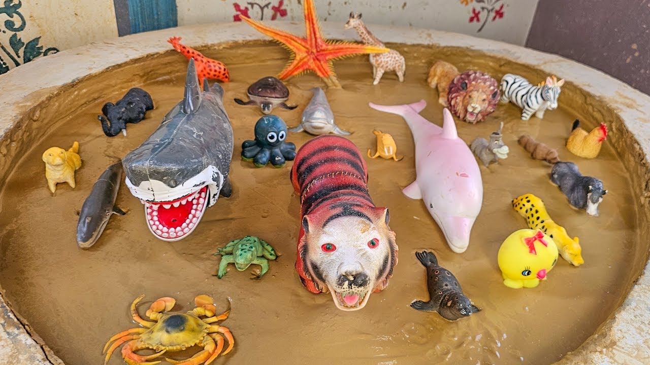 Farmyard Fun vs. Ocean Adventures: The Ultimate Animal Contest! - YouTube