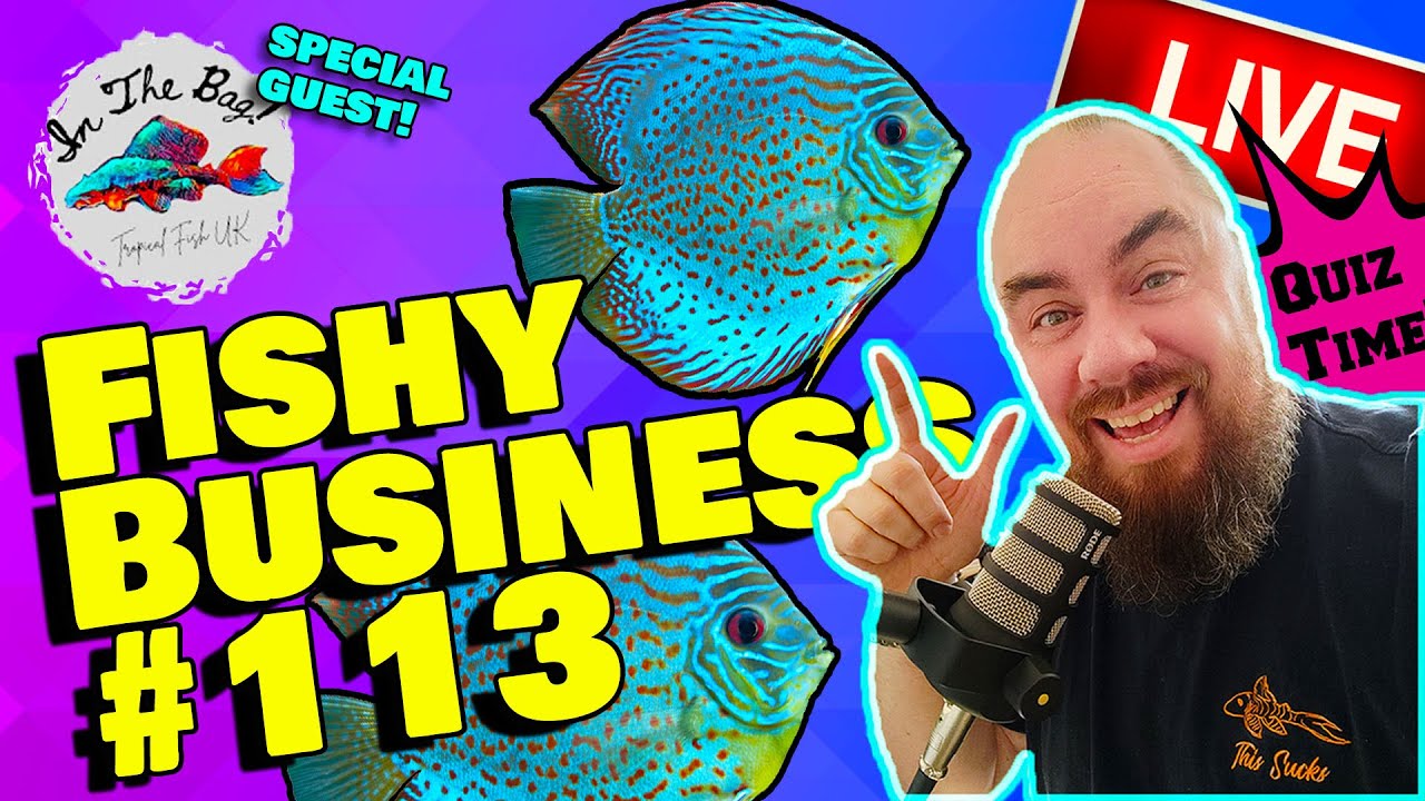 Friday Night Live! - Fishy Business #113 - YouTube