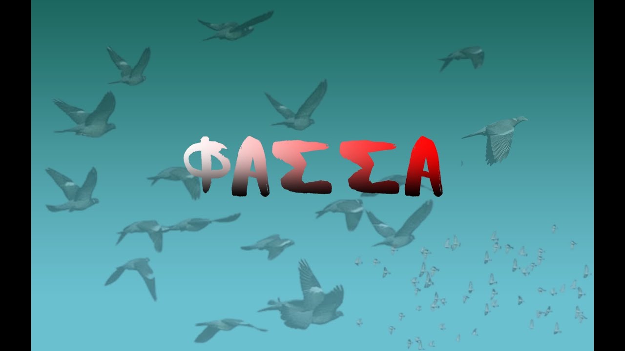 ΦΑΣΣΑ - YouTube