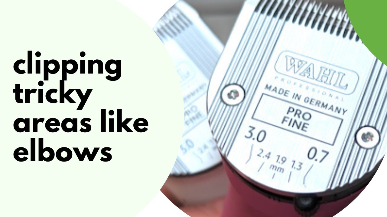 Horse clipping tips - how to clip tricky areas like elbows - YouTube