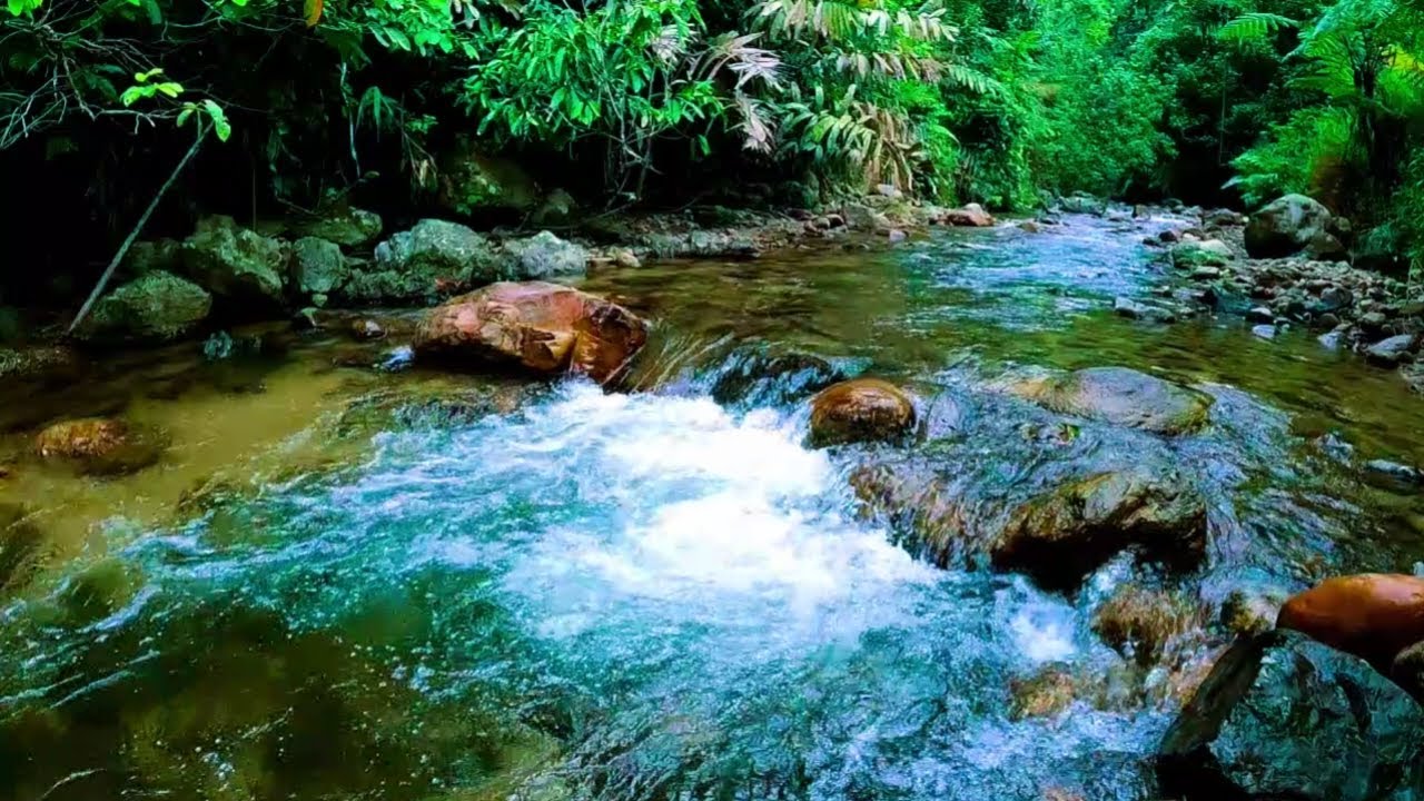 Relaxing River Sounds Mountain Stream Waterfall Gentle Stream for sleep ...