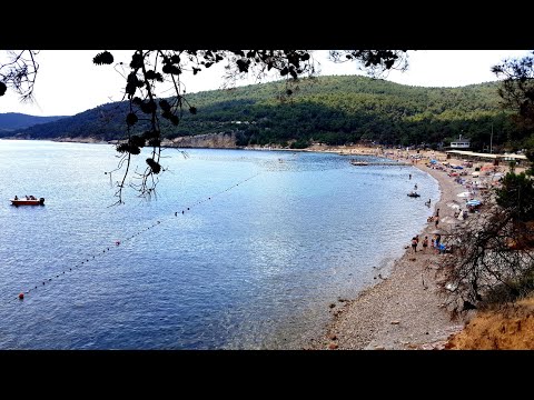 Saroz Gökçetepe Tabiat Orman Parkı Tanıtım 2020 kampımız, dalış, zıpkın, olta