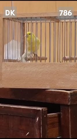 September 27, 2024 - YouTube