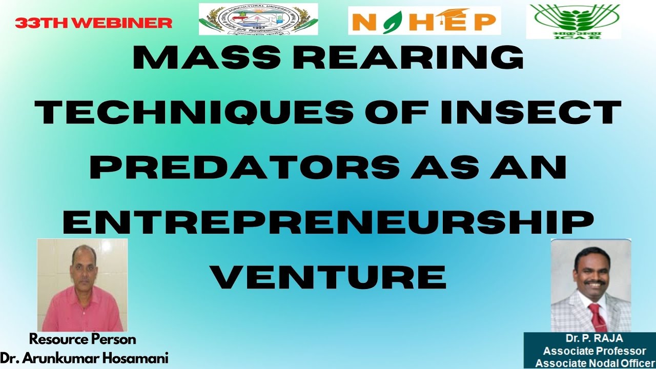 Mass rearing techniques of insect predators as an entrepreneurship ...