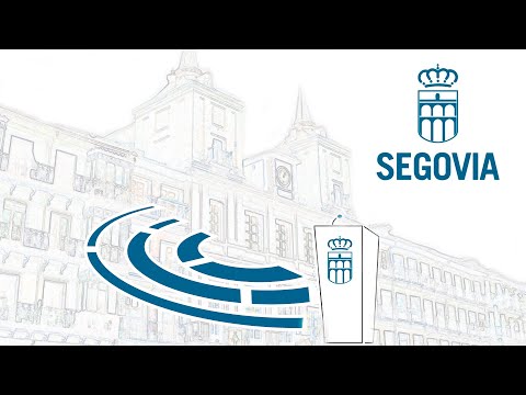 Pleno Extraordinario de 7 de julio de 2023