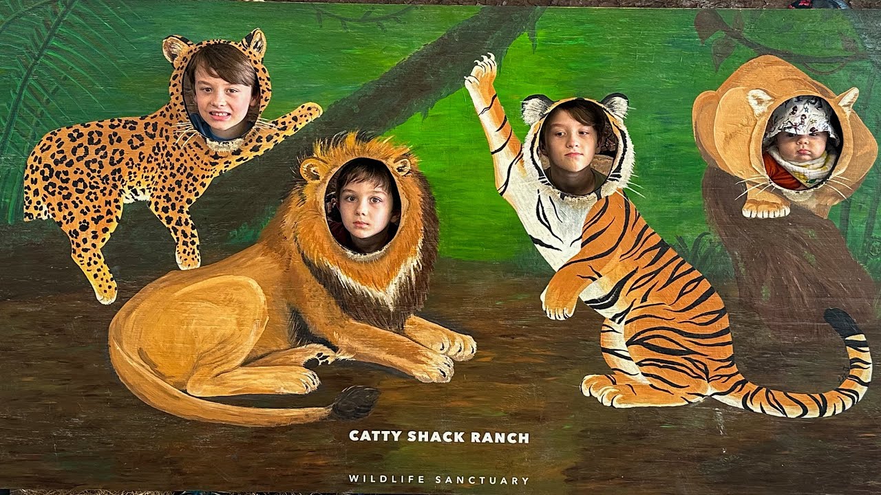 Catty Shack Ranch Wildlife Sanctuary Jacksonville Florida | twinsontoys ...