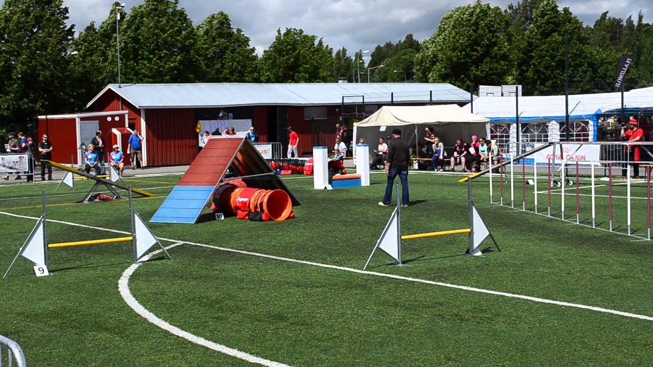 Puli Nelli, Agility SM-2013/joukkekisa - YouTube