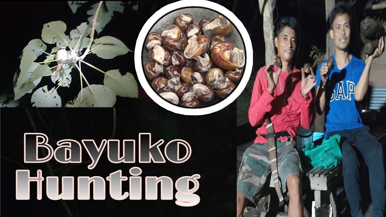 "BAYUKO" (Part 1) - YouTube