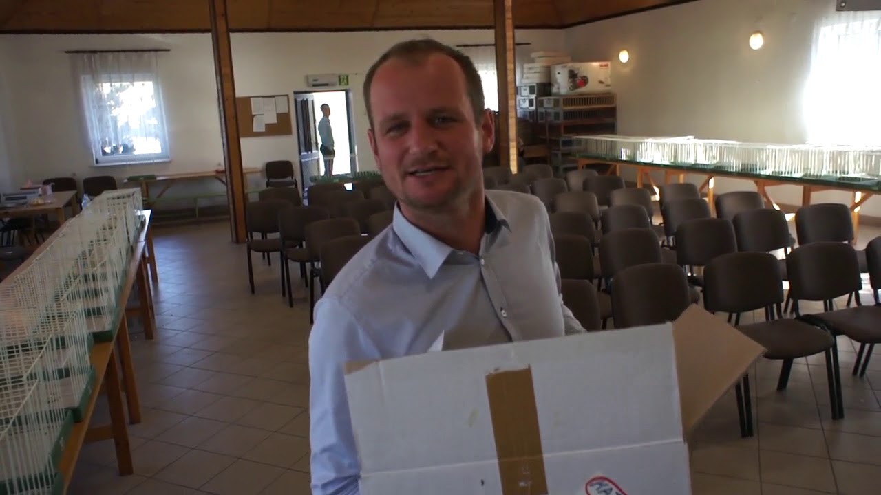 J. Strnad - gołębie na aukcjach - prezenty od firmy TJW dla nabywców ...