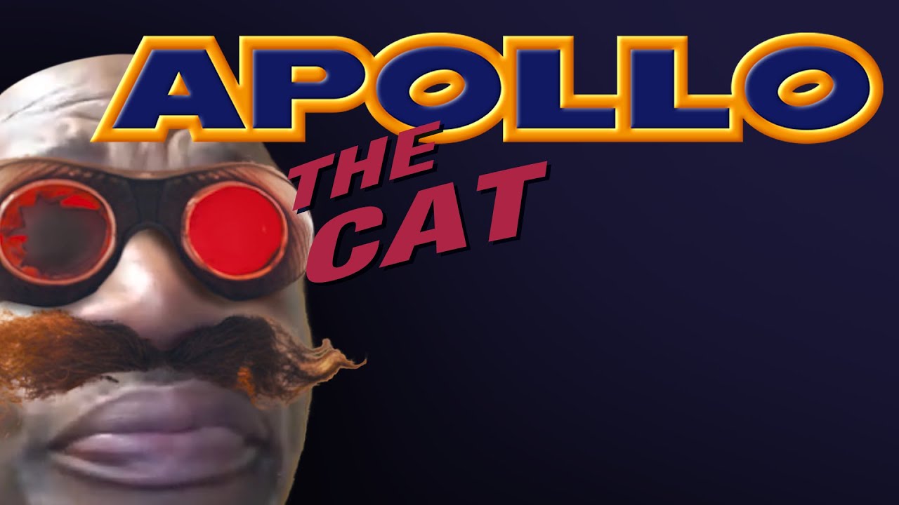 Apollo the Cat - YouTube