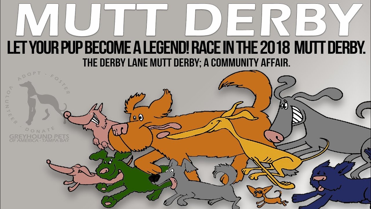 Mutt Derby at Derby Lane | 2018 Recap [4K] - YouTube