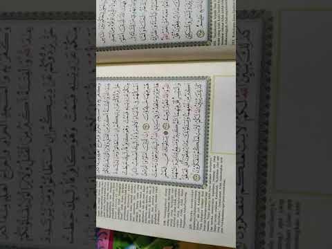 Bela Sapira (4118047)IAT-6 ayat-ayat ahkam