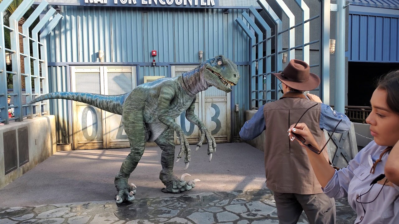 Jurassic World Raptor Encounter Universal Studios in Hollywood ...