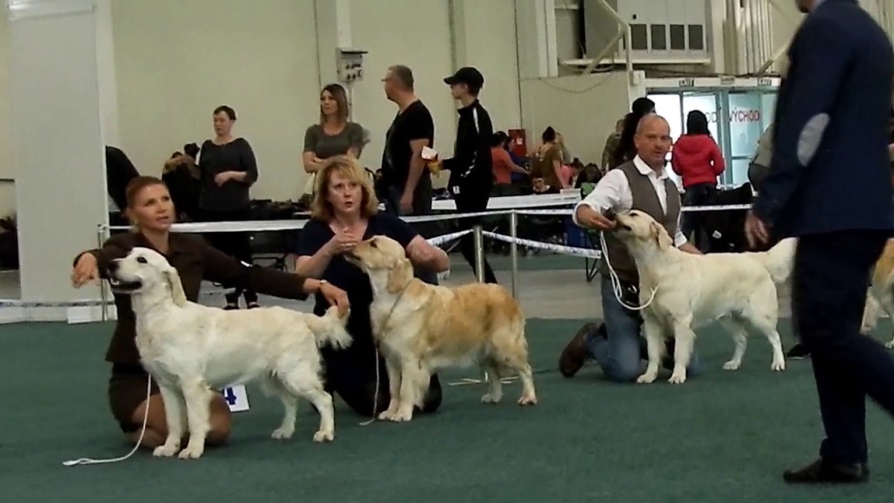 MVP Bratislava, 25-27/10/2019, Lara Cora Sneh Tatier - YouTube