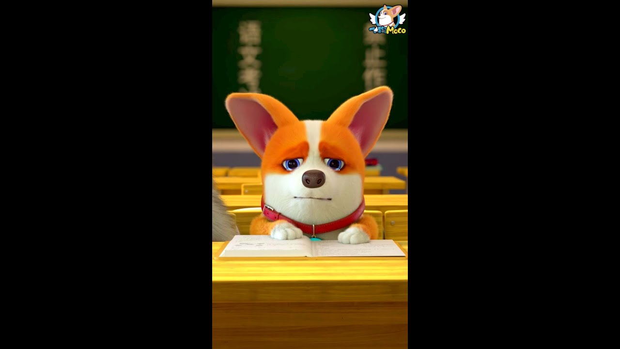 MOCO and YUMMY🐶 | Mood of This Week 一周心情變化 | Flying MOCO Shorts 爆笑飛狗 ...