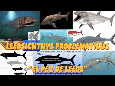 PALEOPEDIA: LEEDSICHTHYS PROBLEMATICUS - YouTube