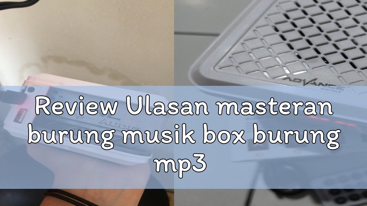 Review Ulasan masteran burung musik box burung mp3 - YouTube