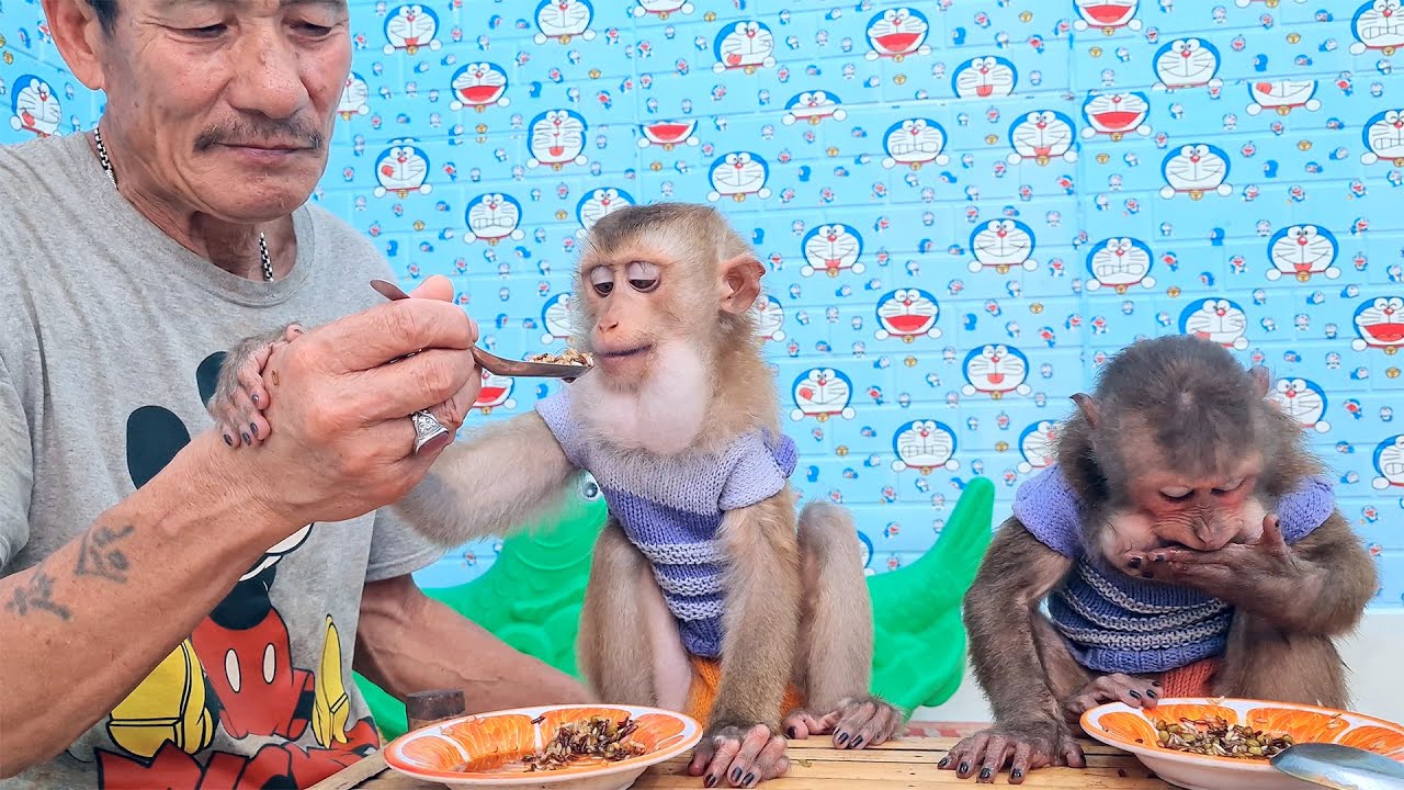 Monkey baby eat green bean porridge and brown rice grain - YouTube