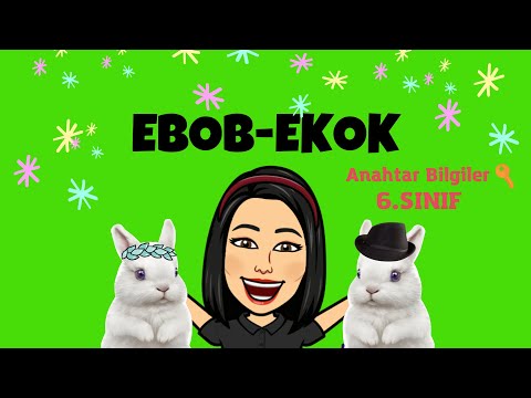 EBOB-EKOK - Anahtar Bilgiler🔑 (6.SINIF)