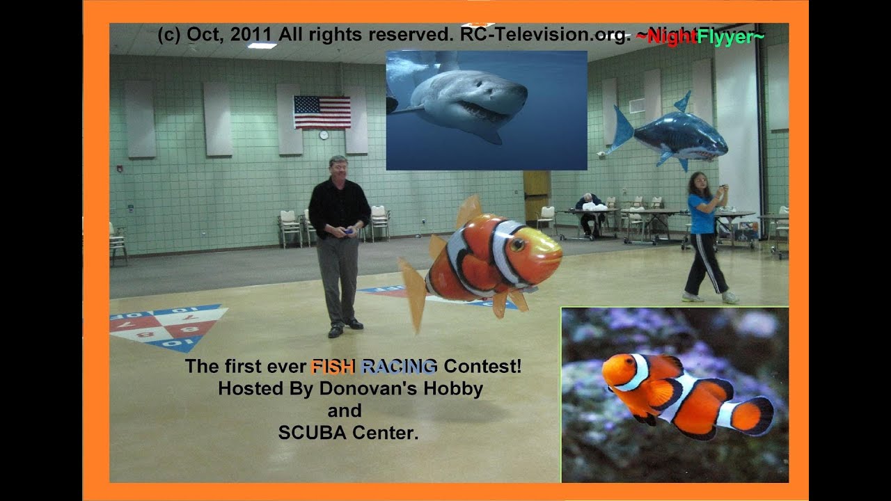 FISH RACING! The FIRST race of it's kind hosted by Donovan's Hobby and ...