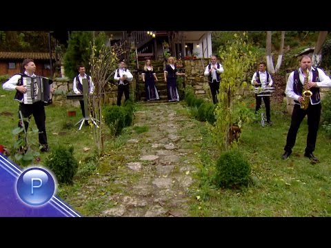 PLAM - BALGARKA / Плам - Българка, 2016