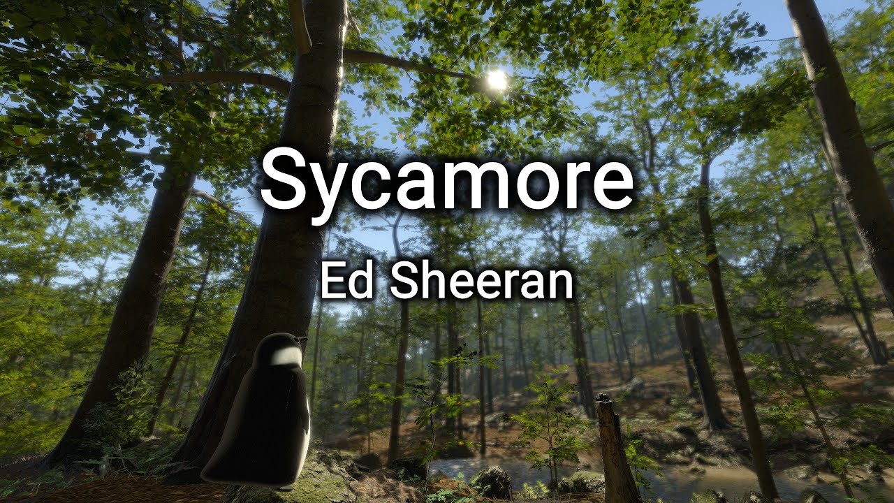 Ed Sheeran - Sycamore (Lyrics) - YouTube