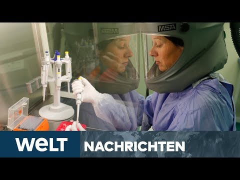 CORONAVIRUS: Stresstest für Deutschland - Börsen in Corona-Panik