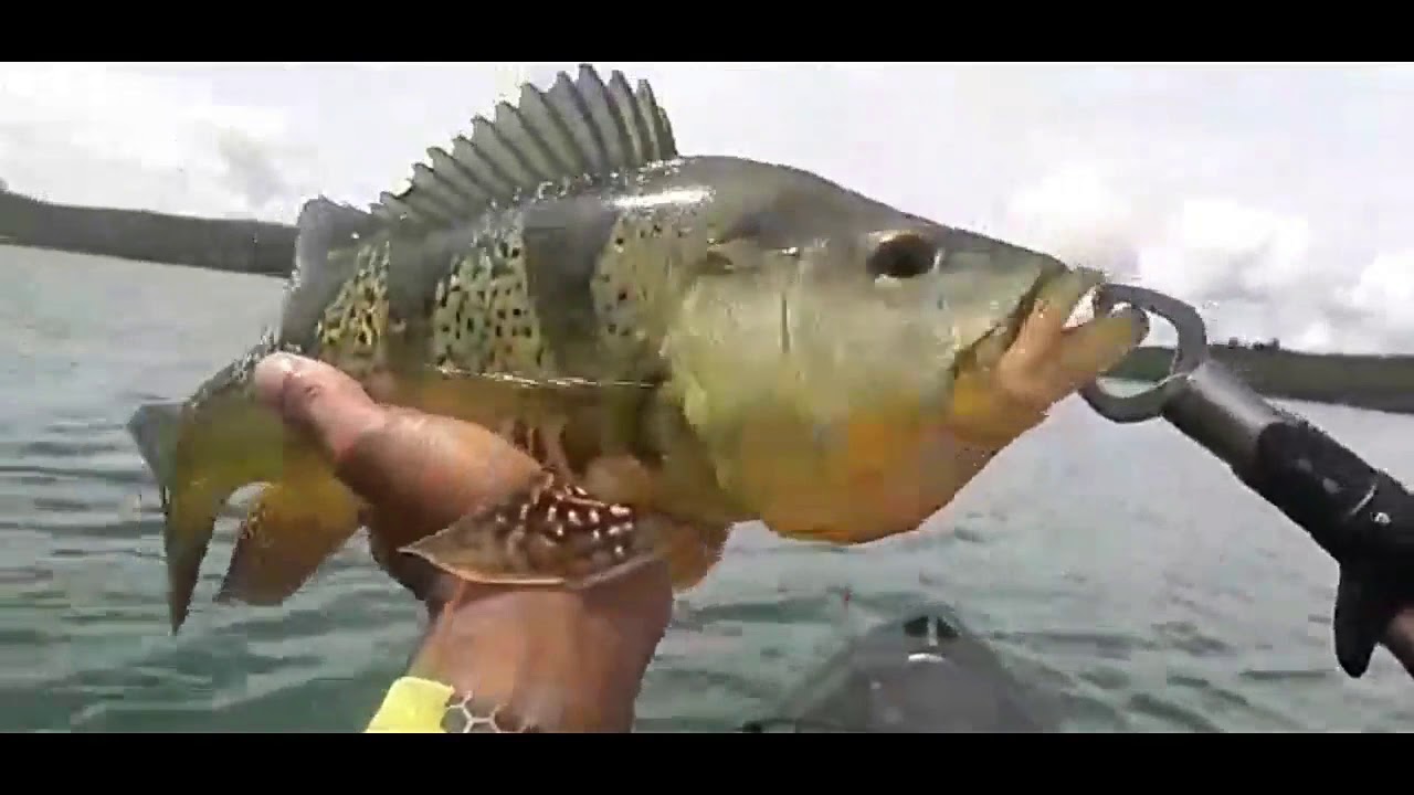 Corumba IV - YouTube