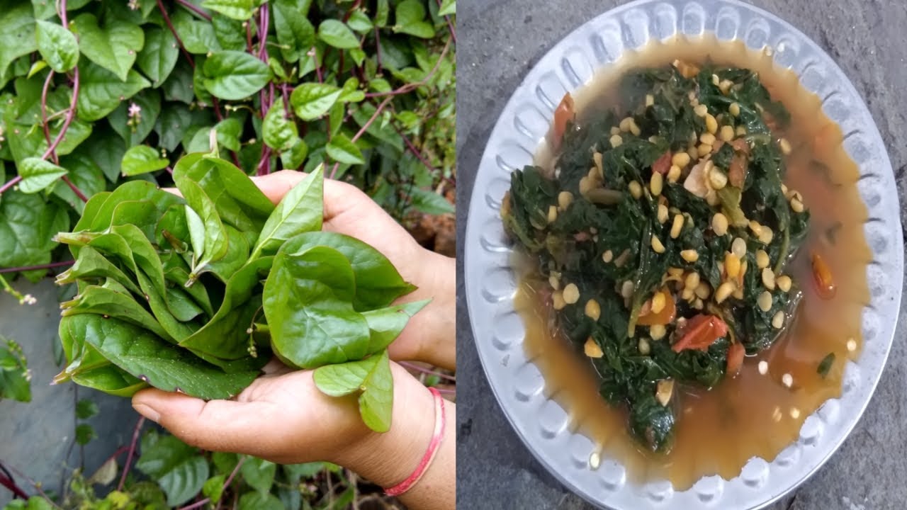 Poi bhaji पोई भाजी malabar spinach cooking in native village style ...