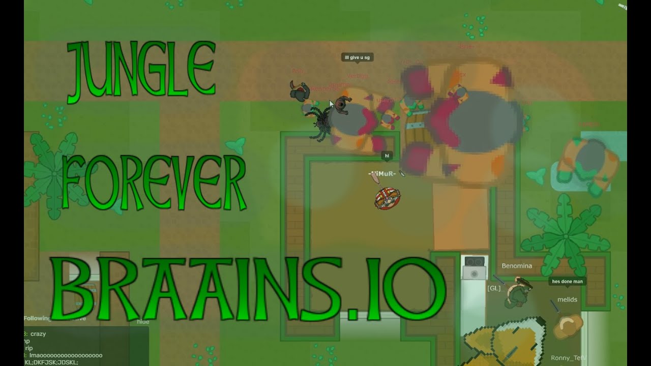BRAAINS.IO JUNGLE FOREVER | 2023 - YouTube