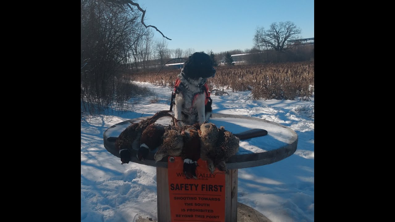 Wern Valley Sportsmen's Club 2-17-23 - Lower Hillside - YouTube