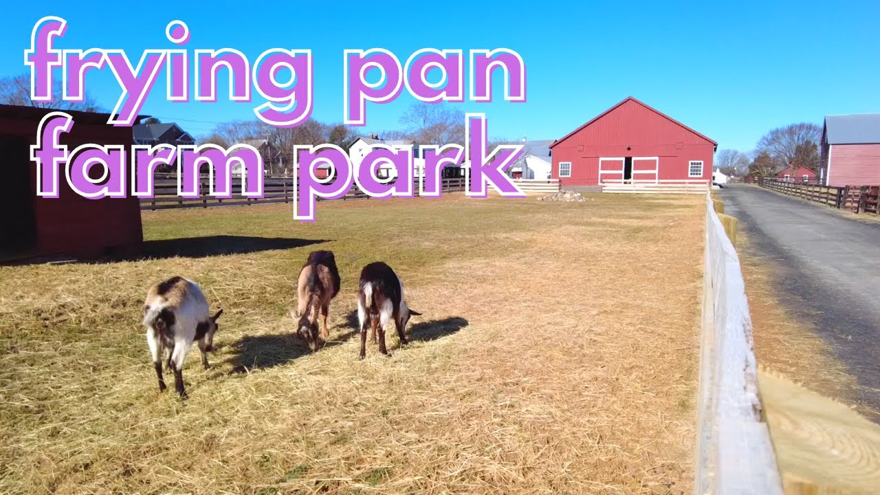 A Cold Morning at Frying Pan Farm Park | Herndon, Virginia (No Sound ...