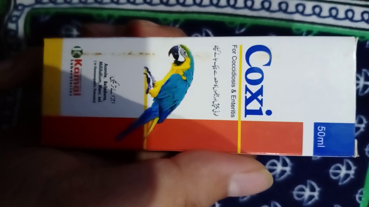 Coxi for Bird's - YouTube