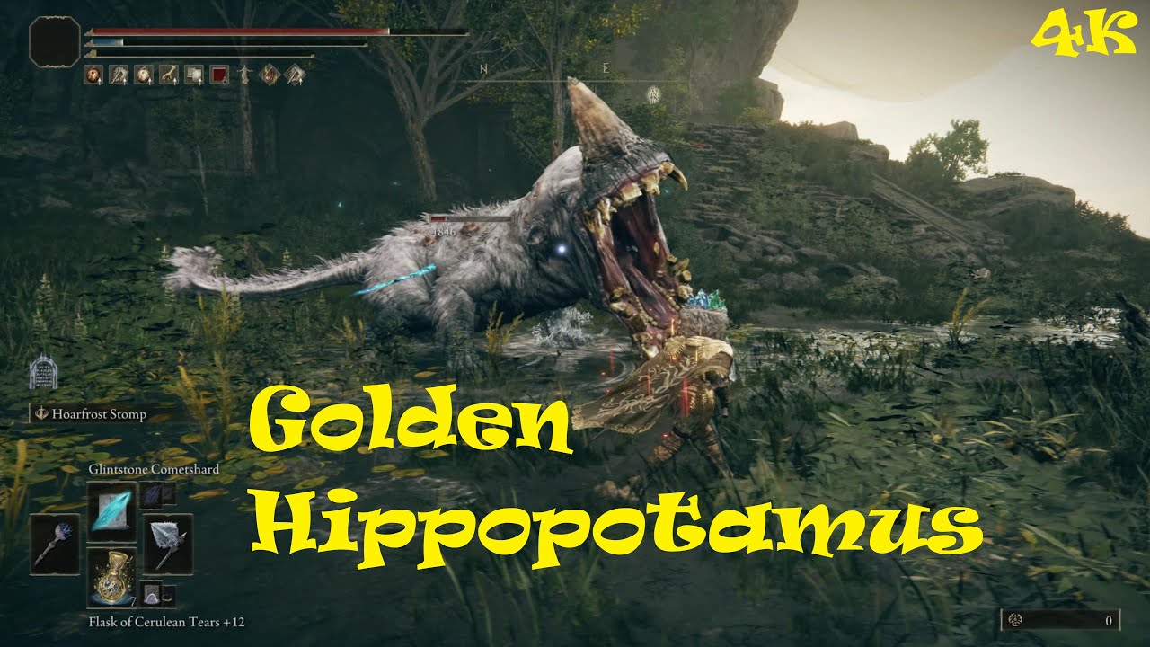 Golden Hippopotamus Boss Fight Rematch Elden Ring - YouTube