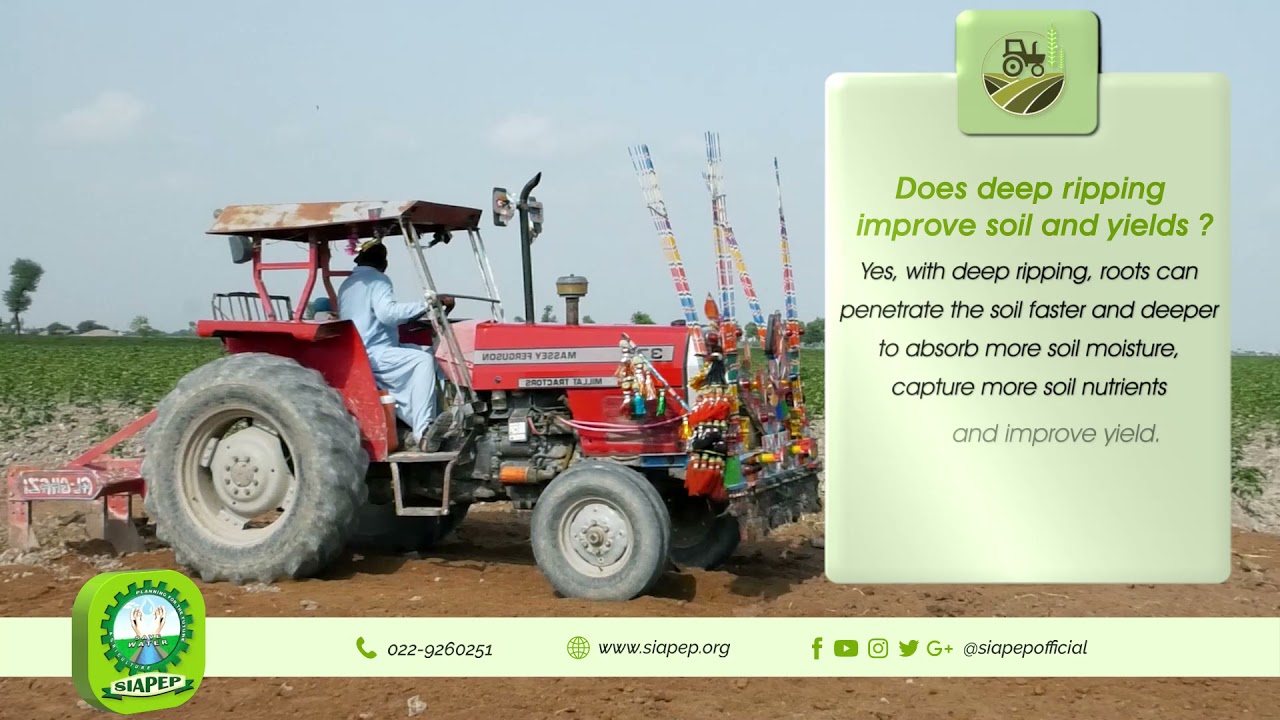 Does deep ripping improves soil and yields? - YouTube