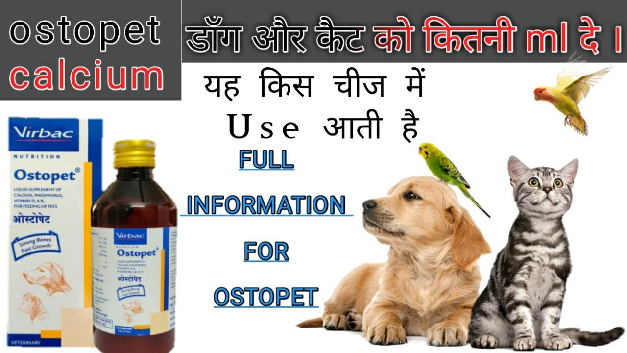 ostopet calcium for dog , cat || dog or cat को कितनी ML दे। full ...
