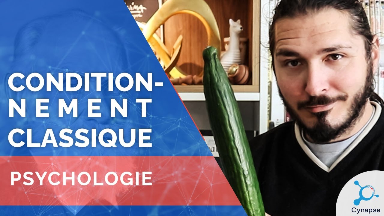 Le conditionnement classique - PSYCHOLOGIE - YouTube