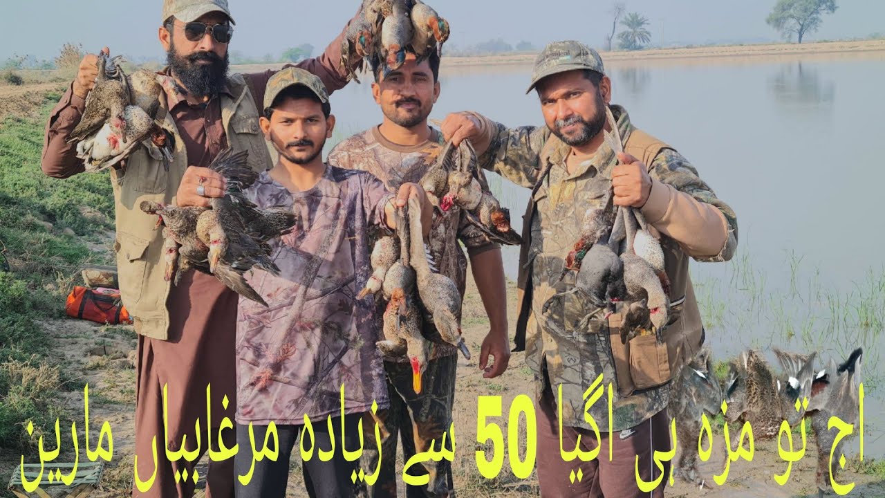 New duck hunting video 2025 - YouTube